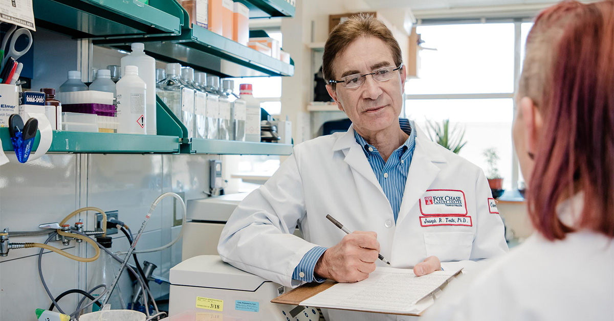 Fox Chase and Temple Researchers Receive $1.2 Million Grant to Dig Deeper Into Broccoli Compound ...